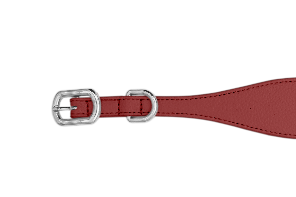 Abba Curved Collar – Dogitex